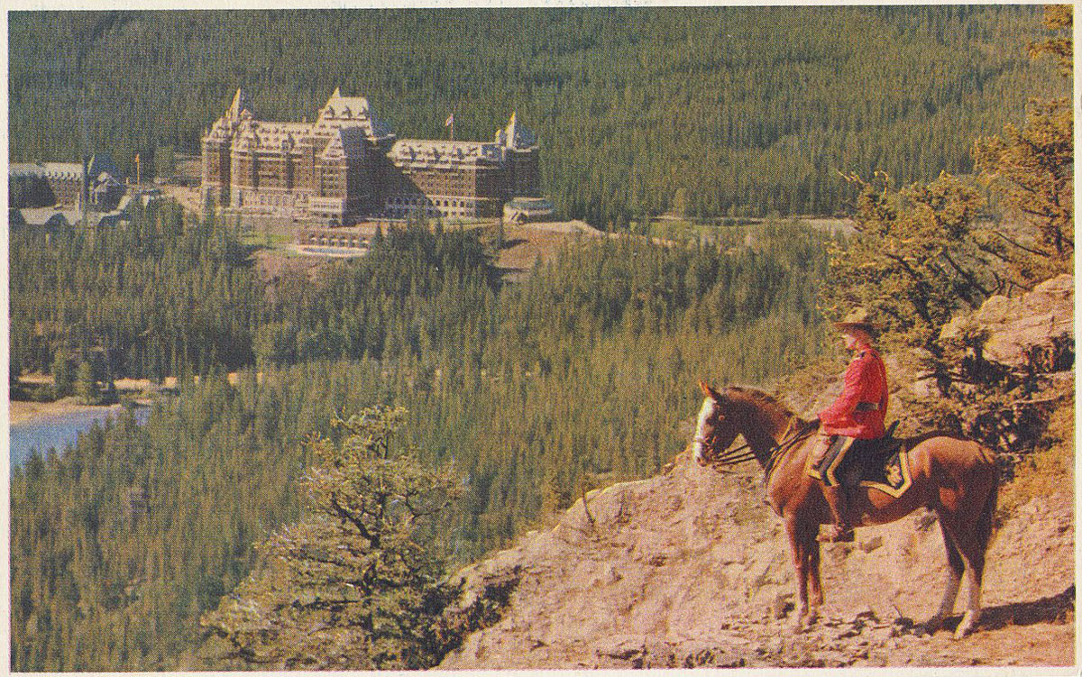 The Observer | A novel | dorothystewart.net